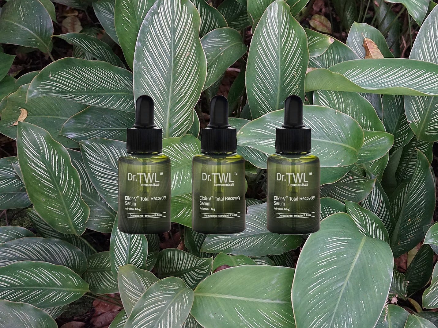 Best Anti-Ageing Serum - Elixir-V™ Total Recovery (Trio Serum Bundle ...